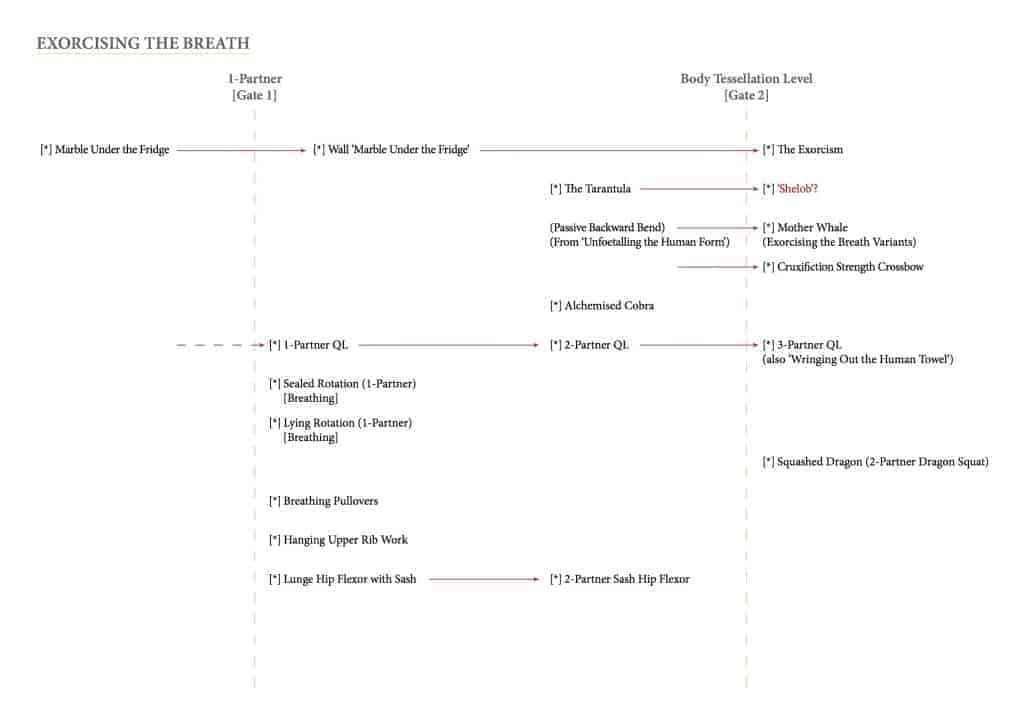 Physical Re-patterning Work | ThinkMovement