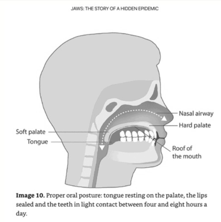 Oral-Facial Health & Posture (Part 1) | ThinkMovement